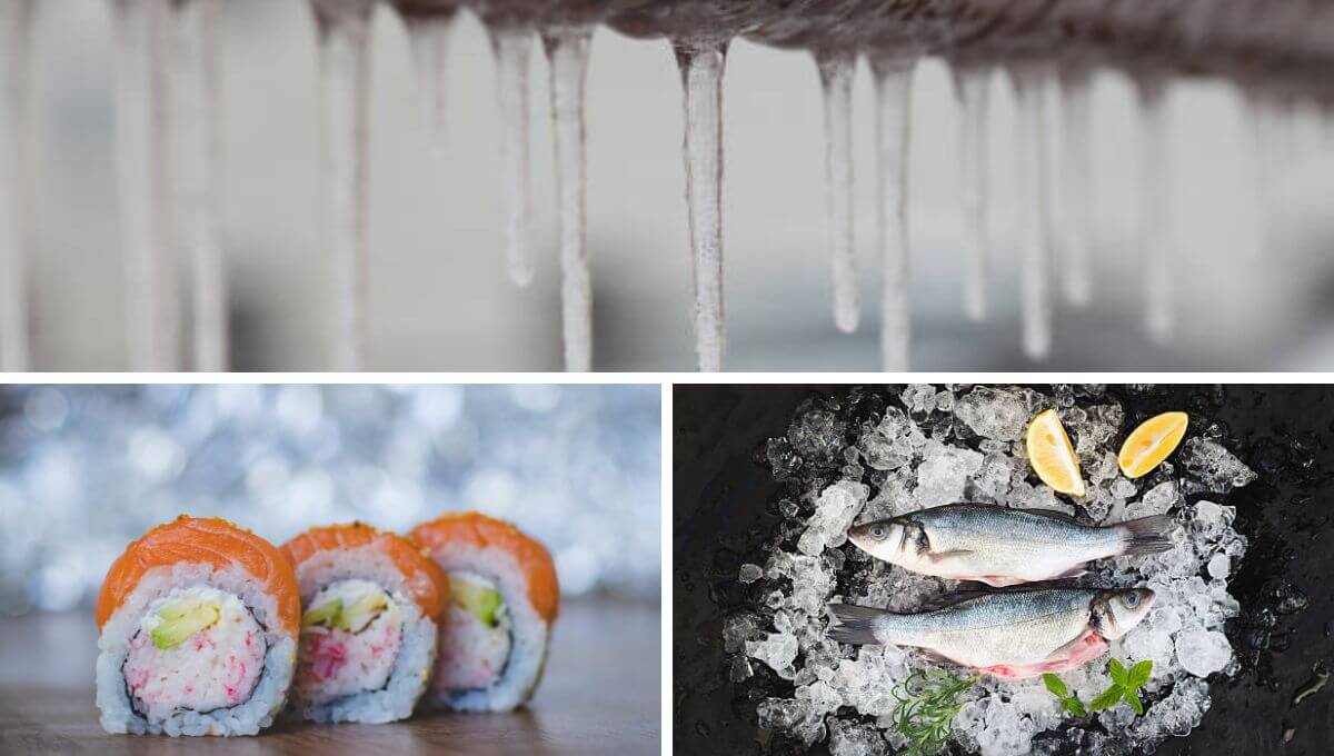 Don't Waste Food - Learn How to Properly Freeze Your Leftover Sushi
