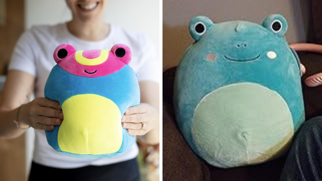 Frog Squishmallows: The Perfect Plush Toy for Kids